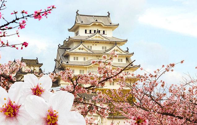 Japan Uncovered